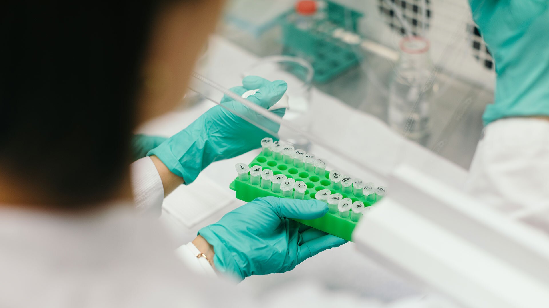 Instructions for grant applicant